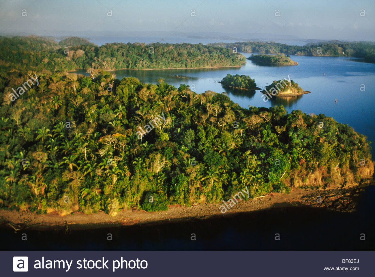Barro Colorado Island Stock Photos & Barro Colorado Island Stock Images ...