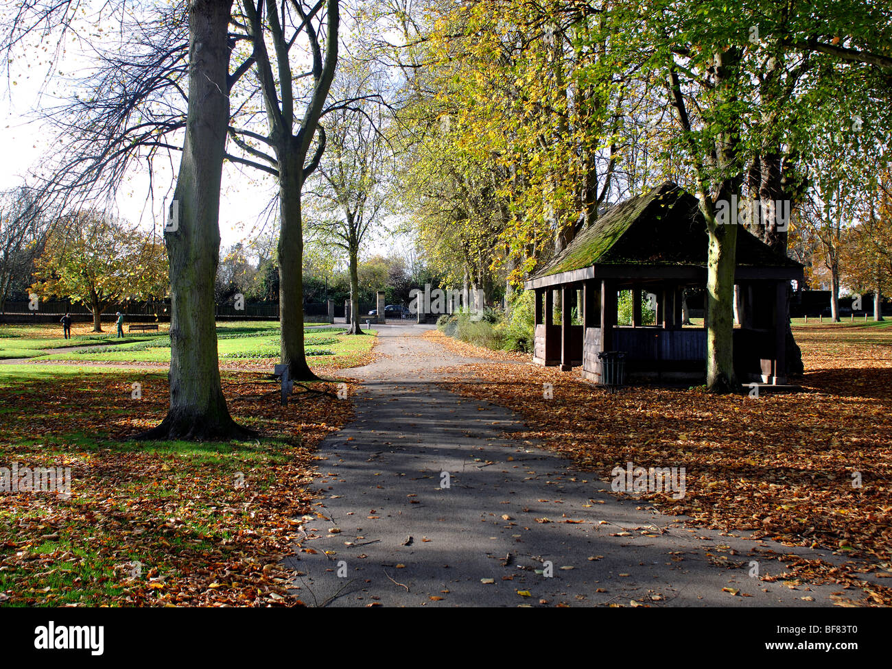 St nicholas park autumn hi-res stock photography and images - Alamy