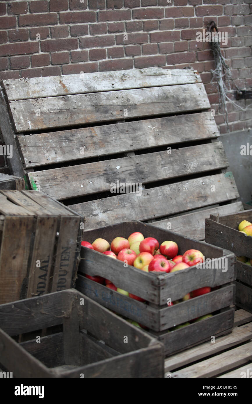 apples in a box Stock Photo - Alamy