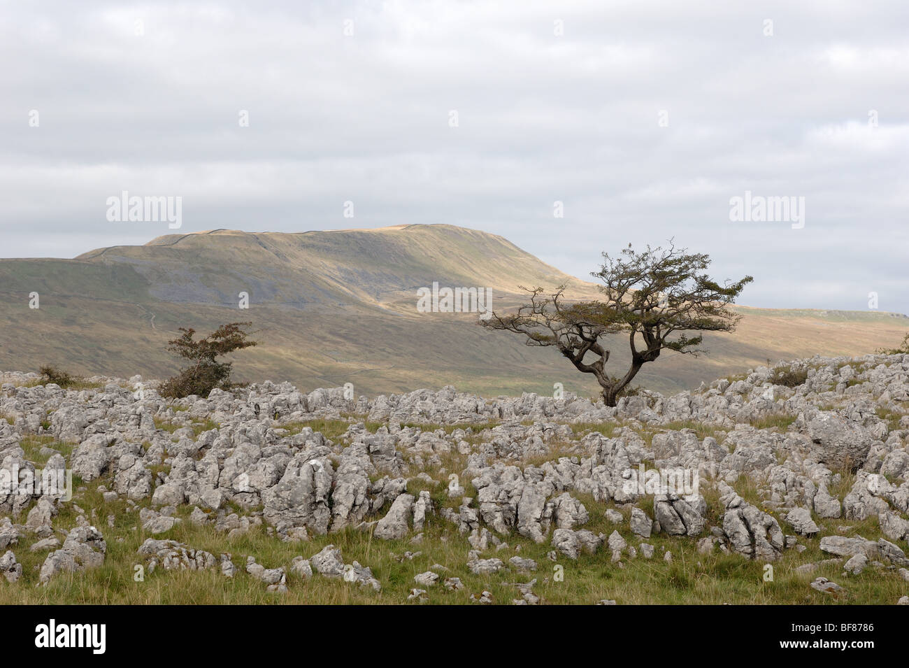 Whernside hill from the path from Chaple le Dale to Ingleborough ...