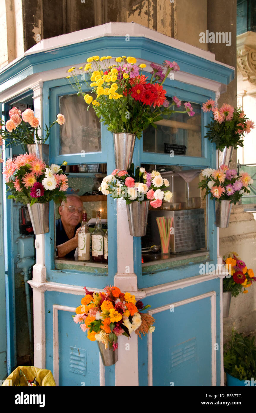 Malta City Valletta Flower Flowers Shop Market Stock Photo - Alamy