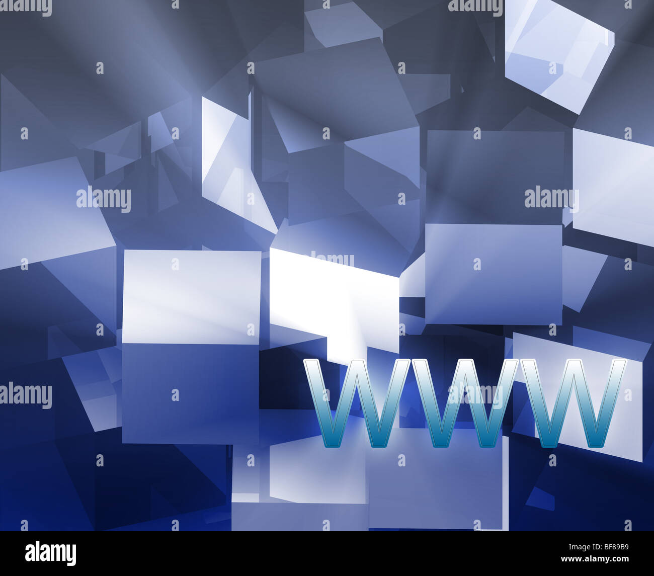 WWW data structures networking web information architecture ...