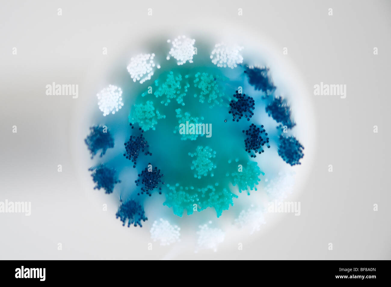 Bristle tips on a circular electric toothbrush head Stock Photo - Alamy