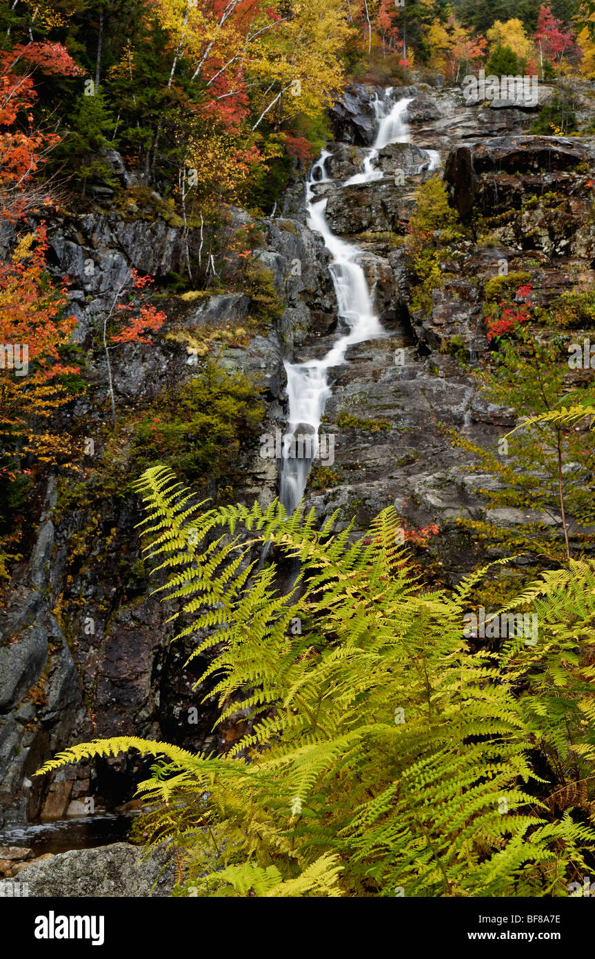 Ferns and Autumn Color at Silver Cascade in the White Mountains ...