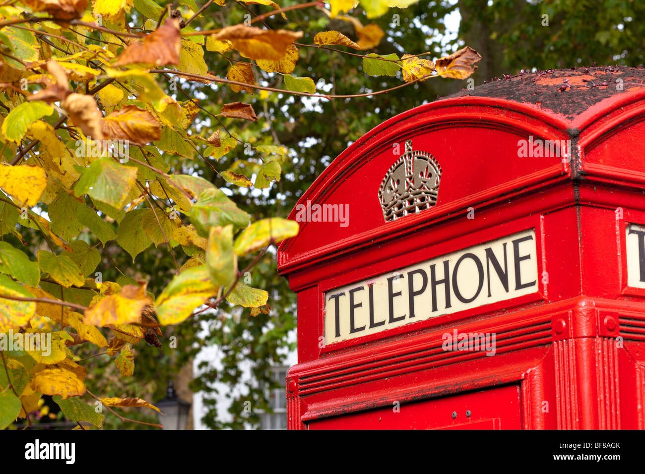 Red phonebox at Autumn time Stock Photo - Alamy