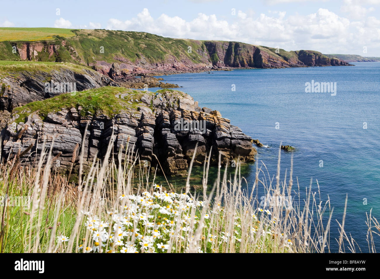 The Pembrokeshire Coast National Park at Stackpole Quay, Pembrokeshire ...