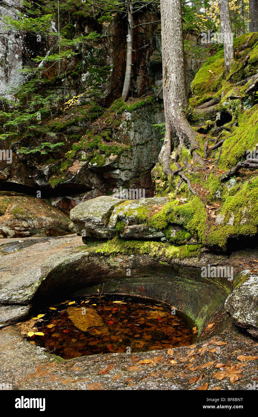 Pothole below Sabbaday Falls in the White Mountains National Forest in ...