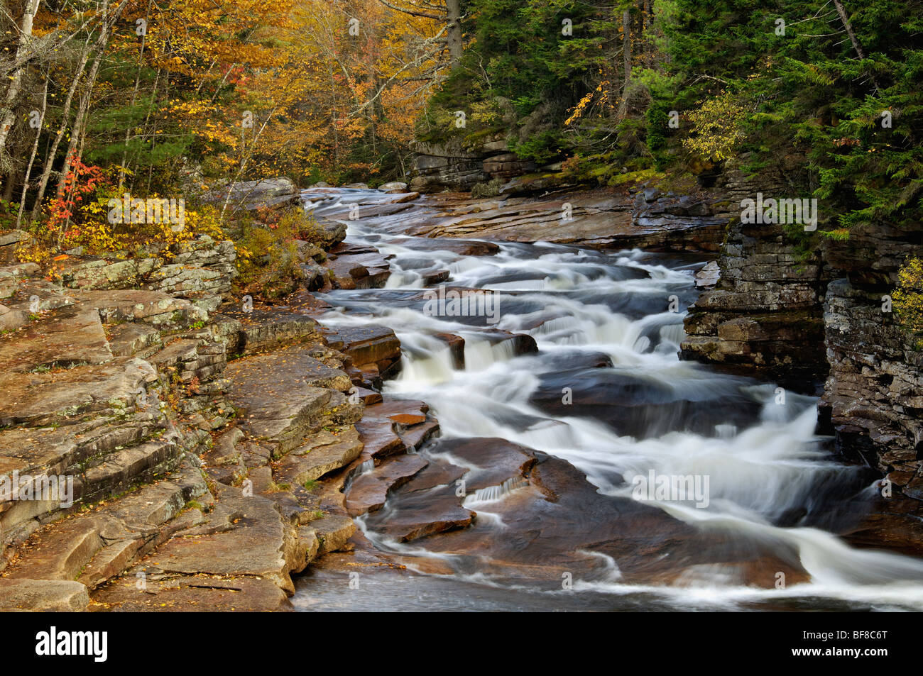 Autumn Color on the Lower Ammonoosuc Falls in the White Mountains ...