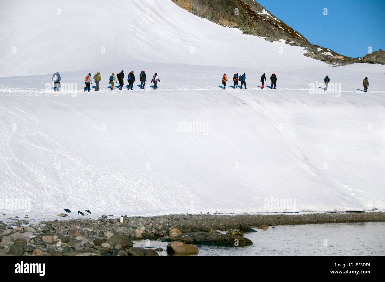 Expedition team antarctica hi-res stock photography and images - Alamy