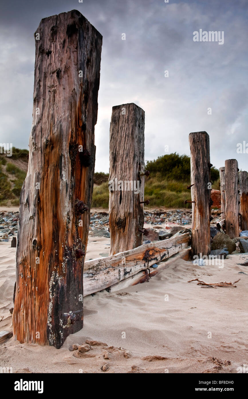 Sea defence system on north Devon sand dunes Stock Photo - Alamy
