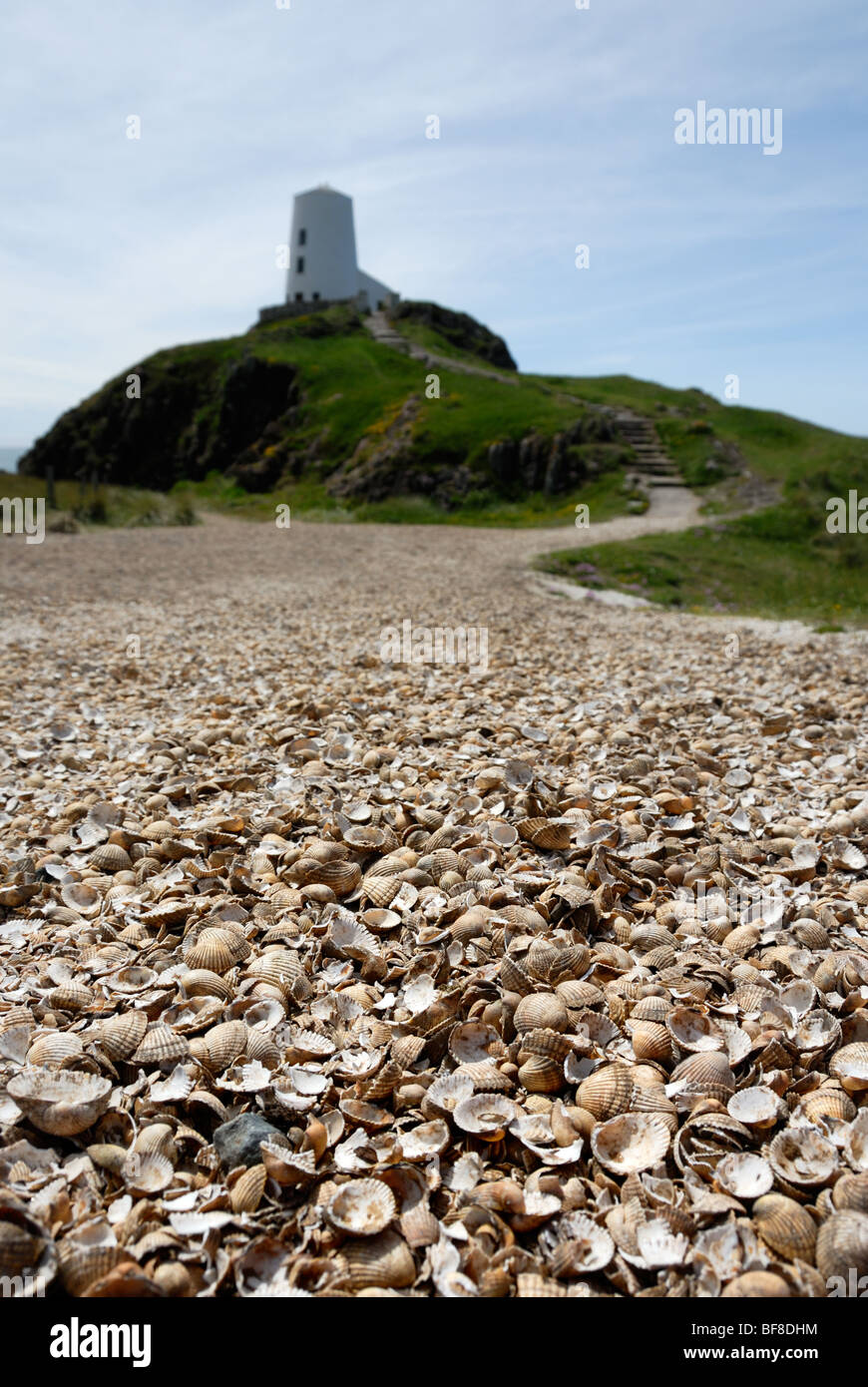 Sea shell path leading to Tŵr Mawr lighthouse on Ynys Llanddwyn ...