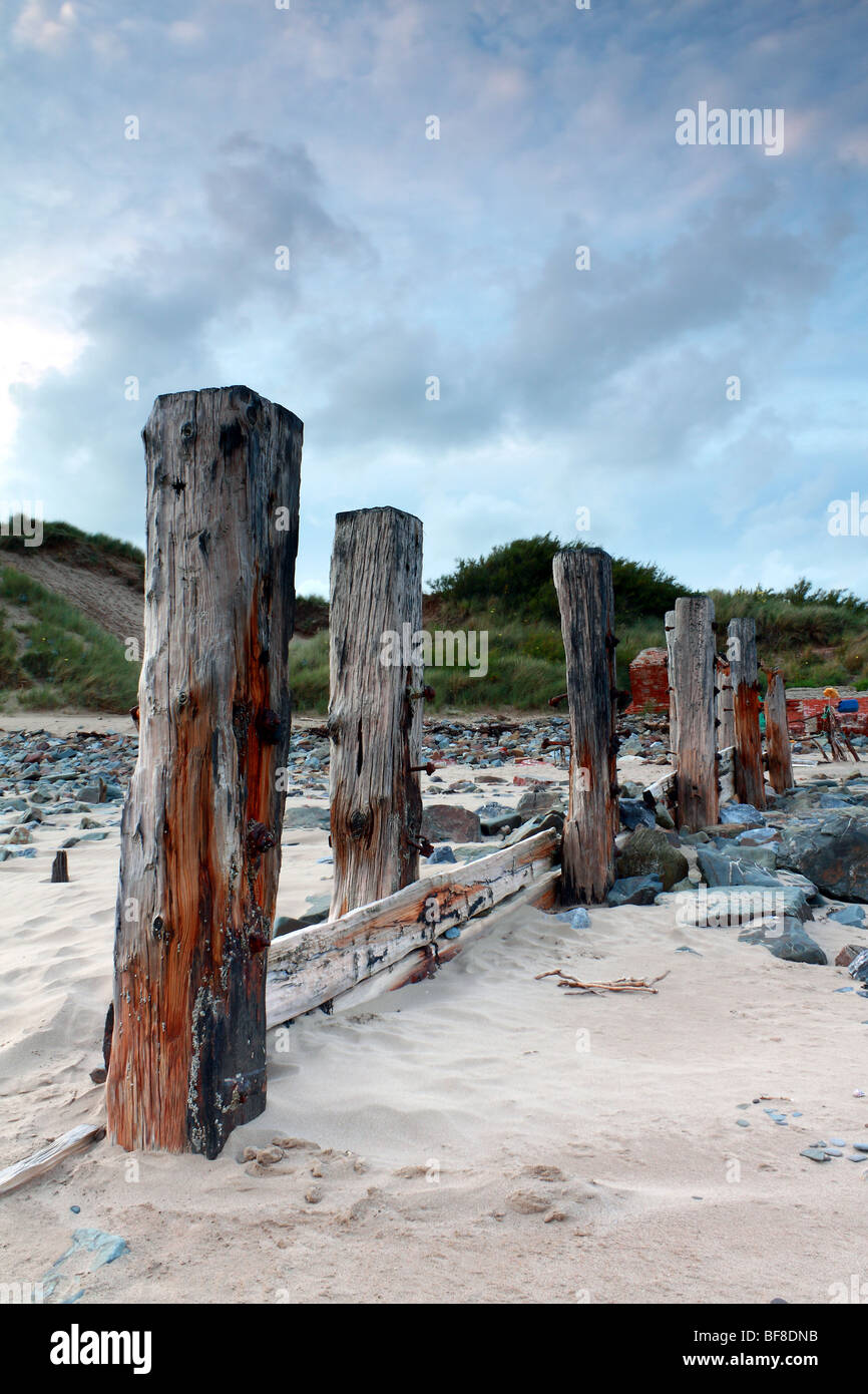 Sea-defence system on the north Devon sand dunes Stock Photo - Alamy