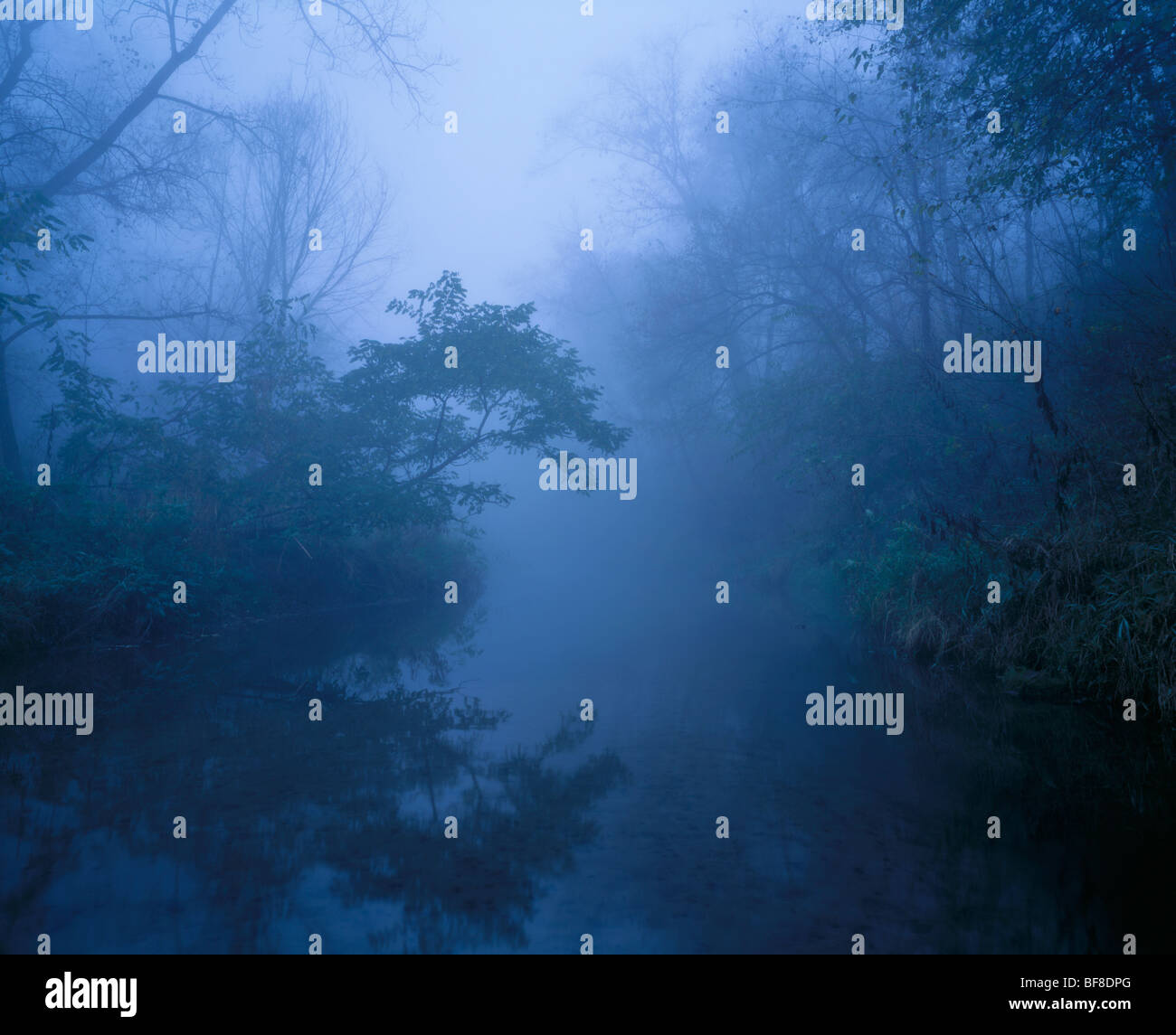 Sny magill natural area hi-res stock photography and images - Alamy