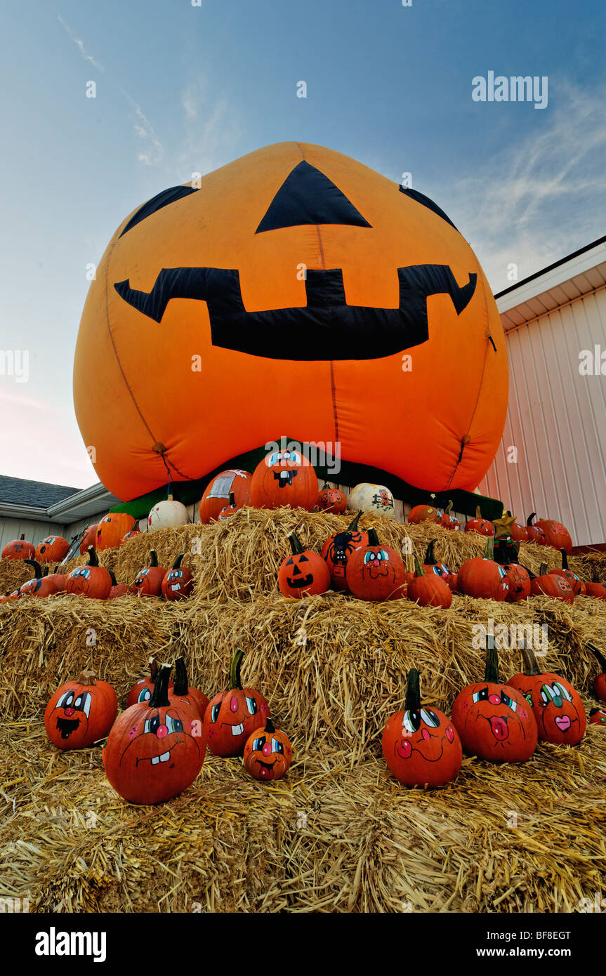 Halloween Display with Painted Pumpkins at Hubers Winery in Starlight ...