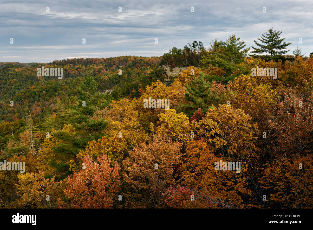 Natural bridge state park hi-res stock photography and images - Alamy