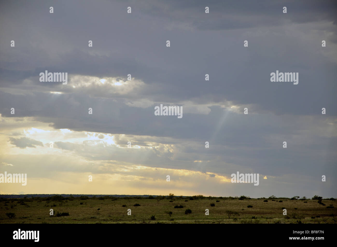 Rural Texas (panhandle Stock Photo - Alamy