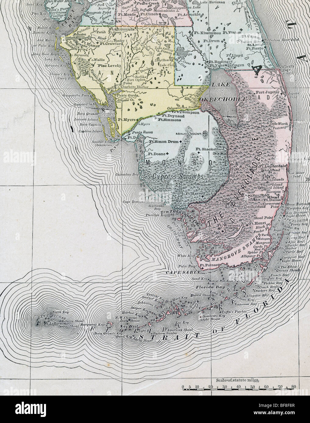 Original old map of Florida Everglades from 1884 geography textbook ...