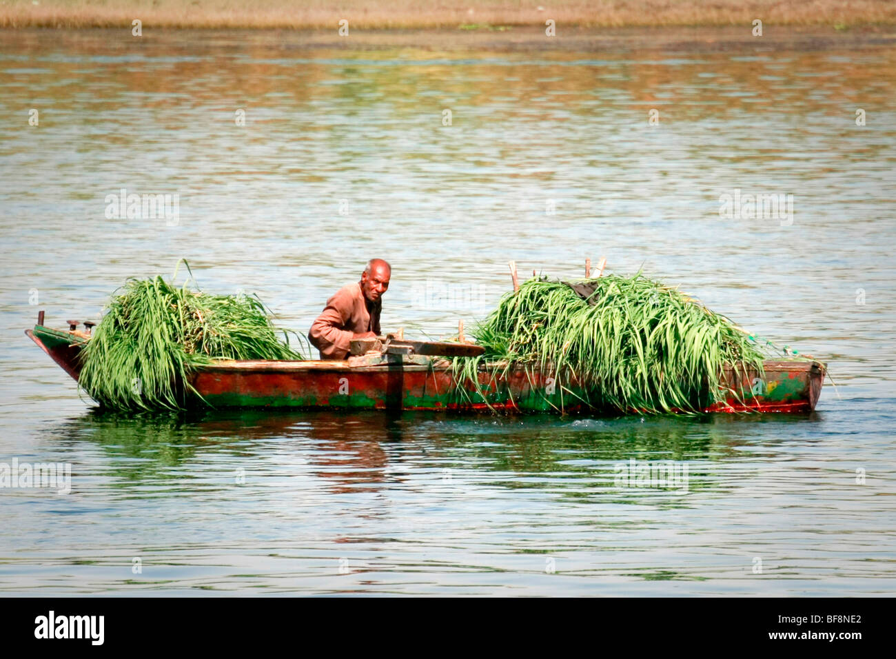 Rowing boat on the river Nile, Egypt Stock Photo - Alamy