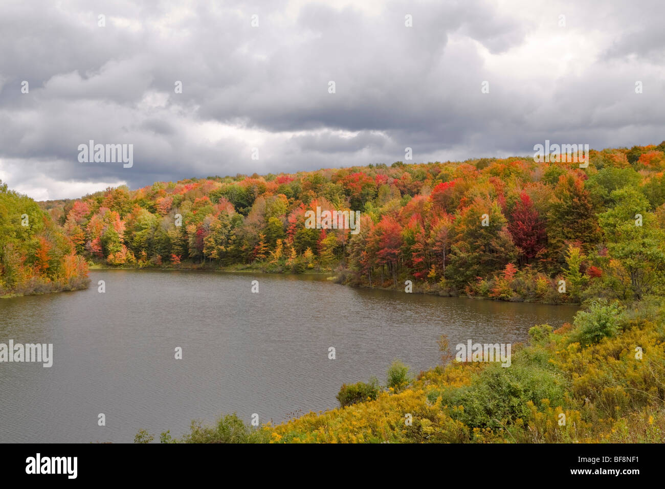Autumn fall colors trees water clouds hi-res stock photography and ...
