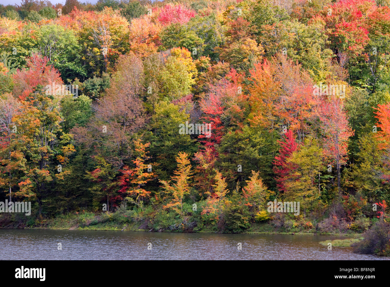 Autumn colours in Upstate New York Stock Photo - Alamy