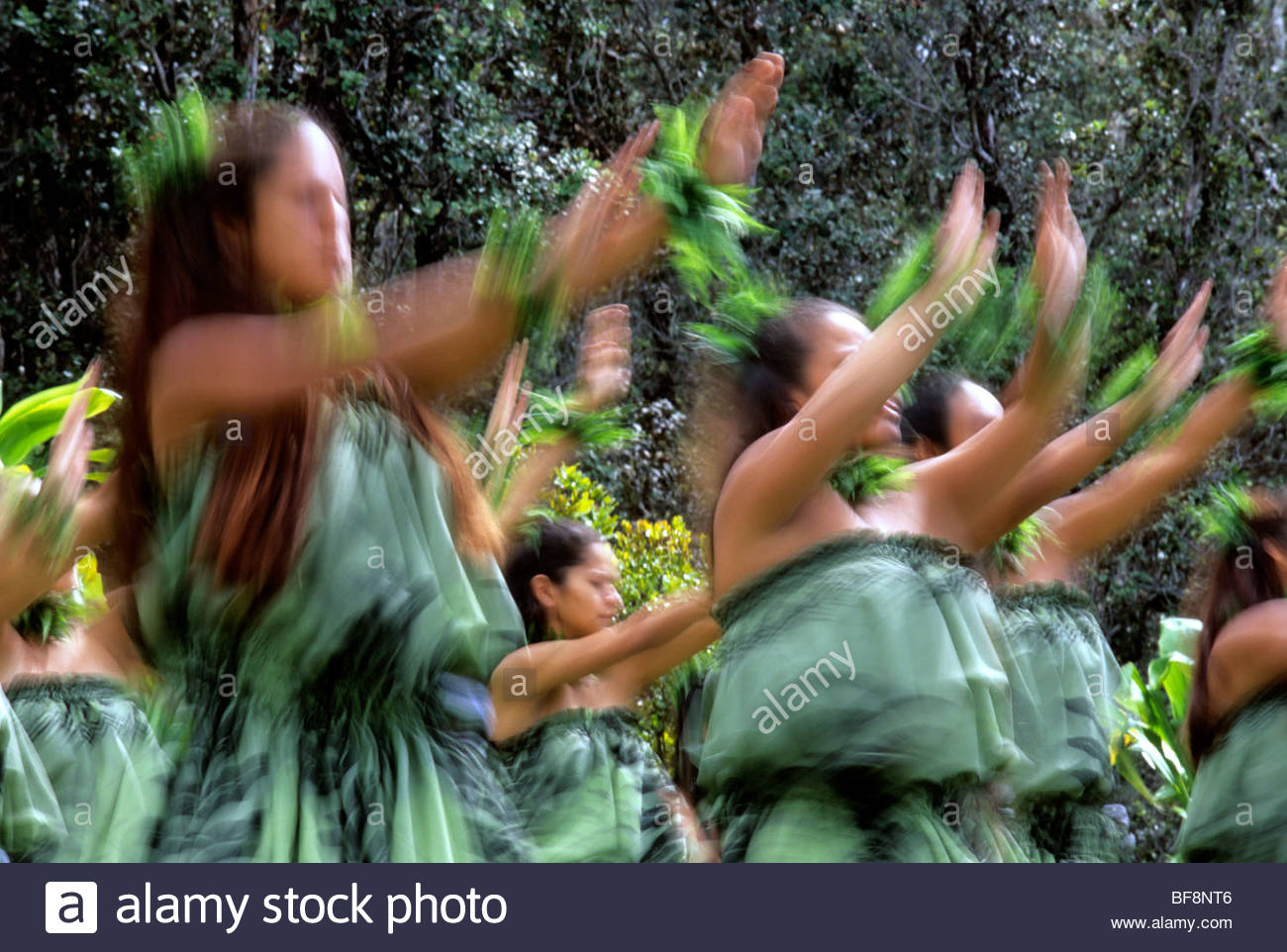 Hawaiian Traditional Dress Stock Photos & Hawaiian Traditional Dress ...