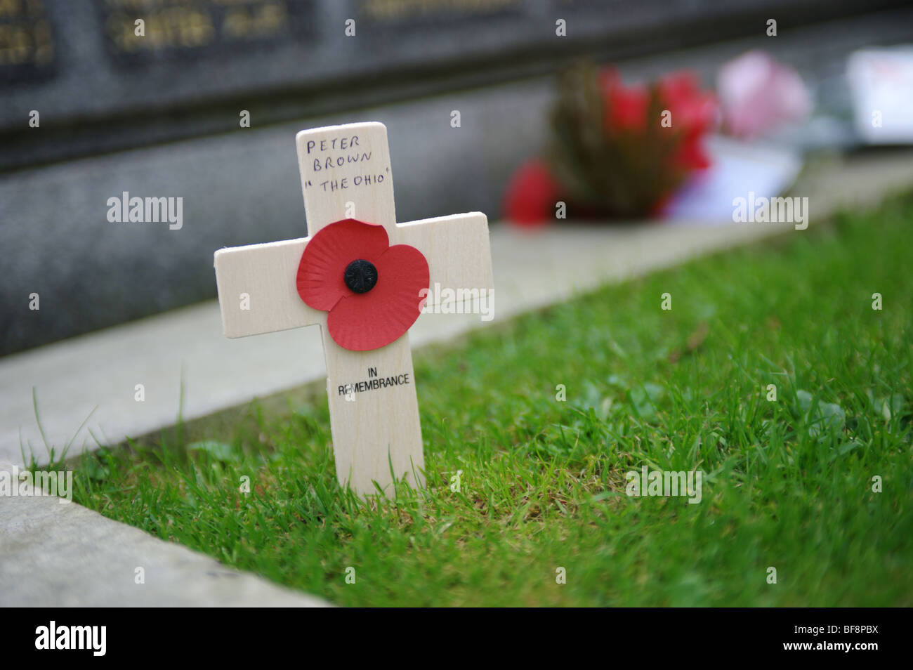 Wooden crosses with red poppy Stock Photo - Alamy
