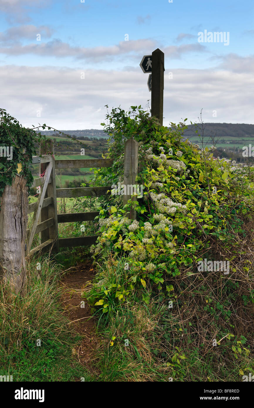 Bath right hi-res stock photography and images - Alamy