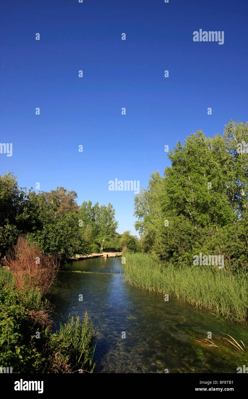 Golan Heights, the Banias stream, a source of the Jordan River Stock ...