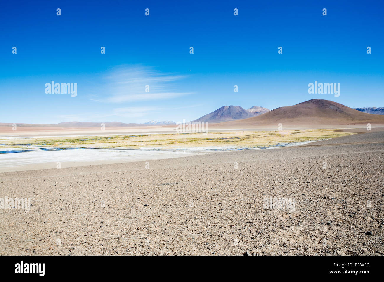 View of Altiplano high plateau in northern Chile Stock Photo - Alamy