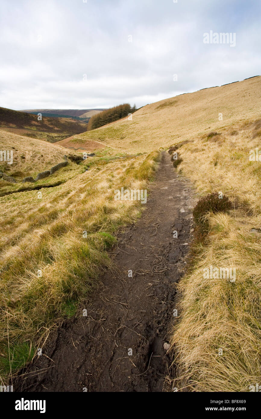 Footpath alongside Wildmoorstone Brook on Wild Moor in the Goyt Valley ...