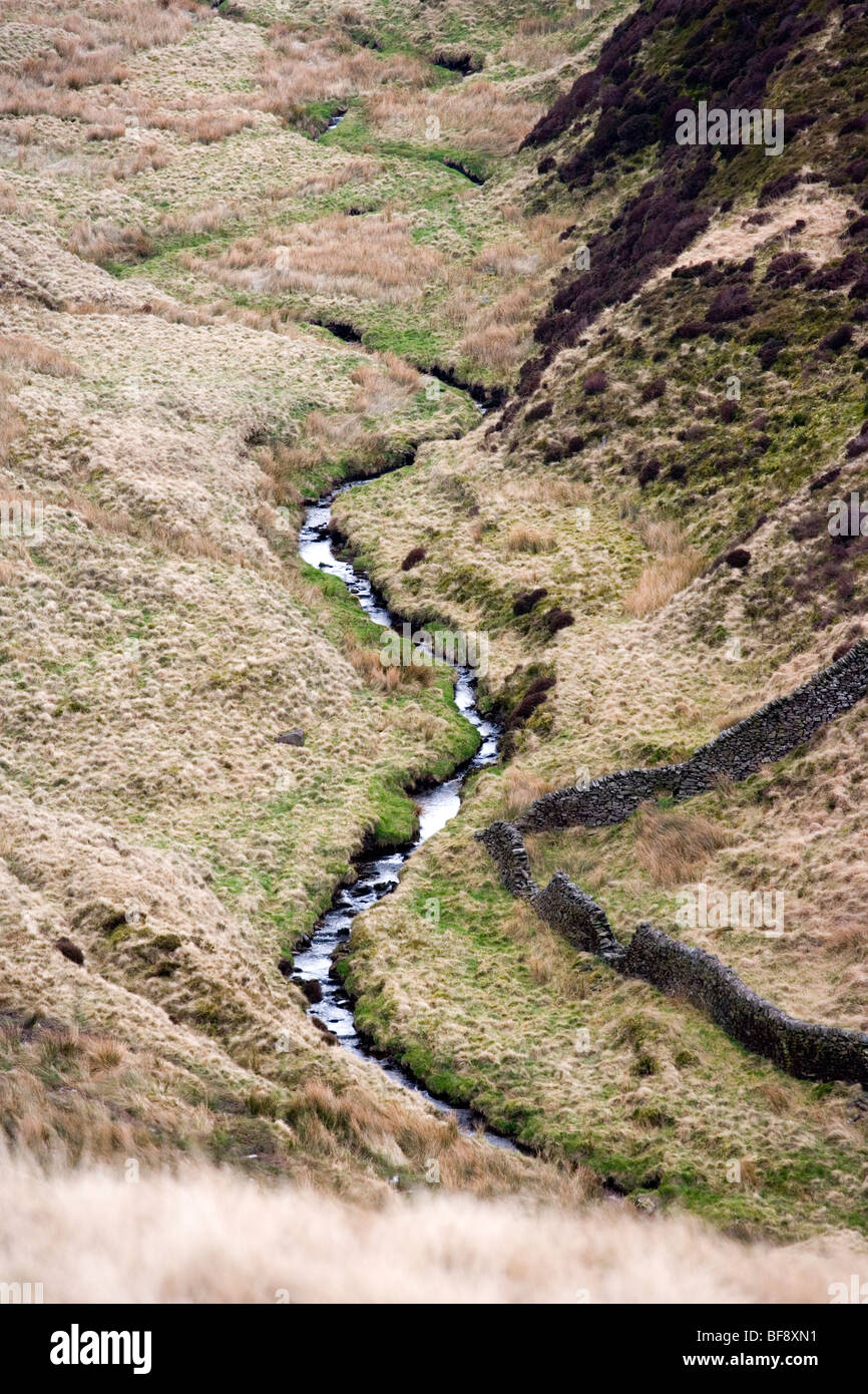 Brook With Grasses High Resolution Stock Photography and Images - Alamy