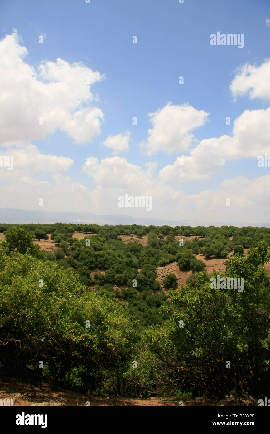 Juba hi-res stock photography and images - Alamy