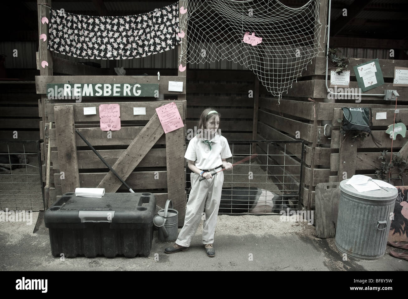 Hog pen hi-res stock photography and images - Alamy