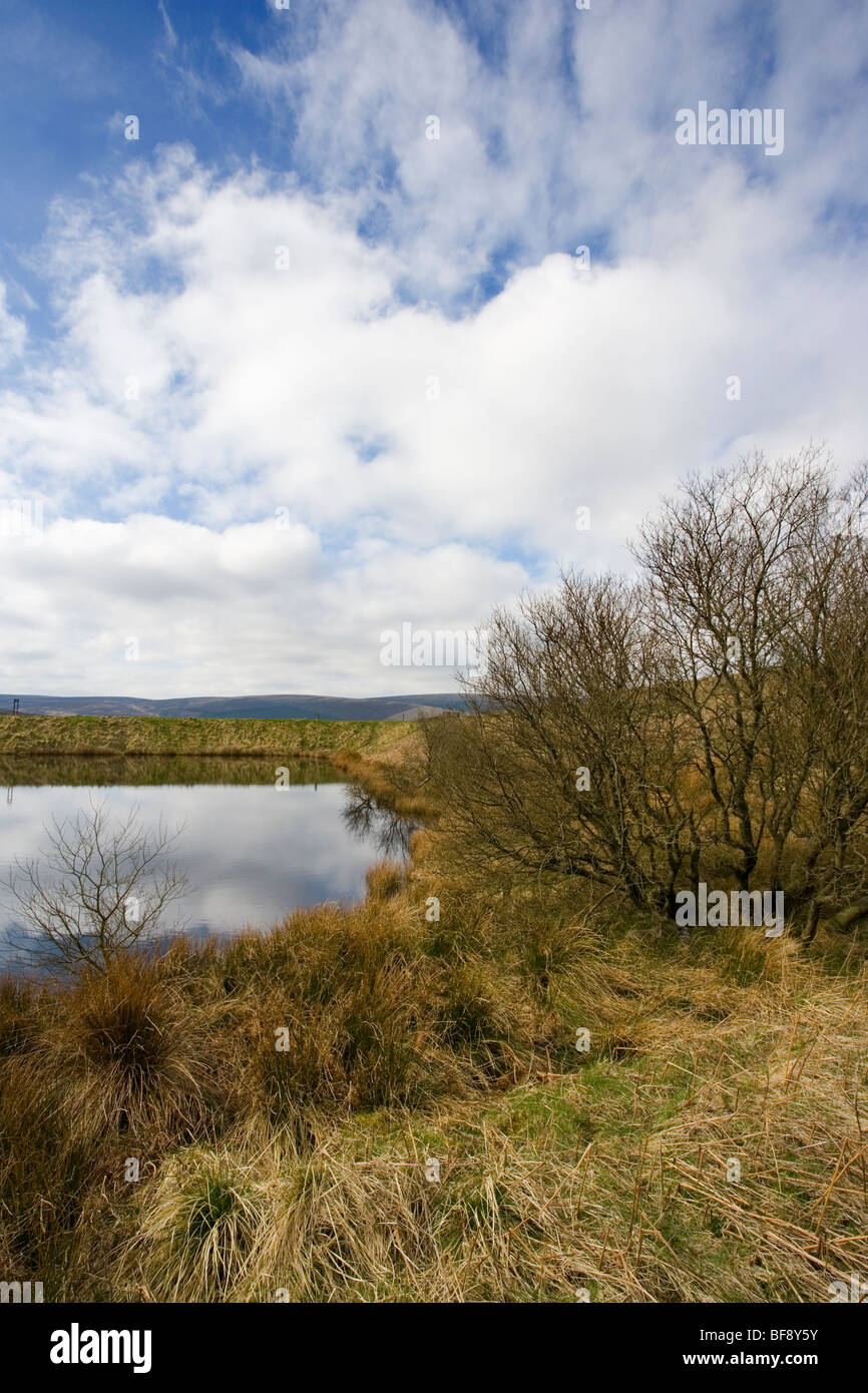 A small reservoir of Goyts Lane at Wild Moor in the Goyt Valley near ...