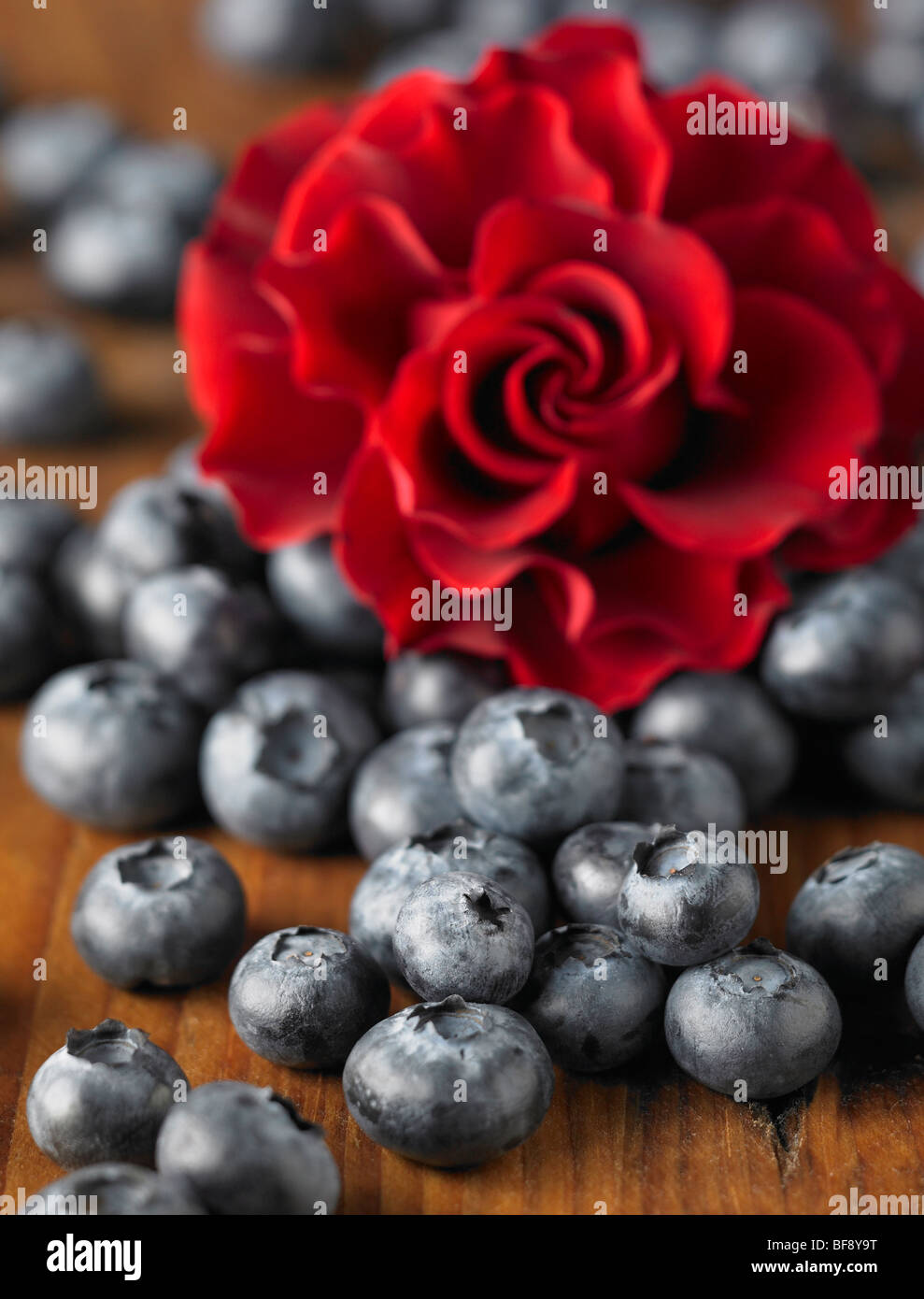 blueberries and a red rose Stock Photo - Alamy