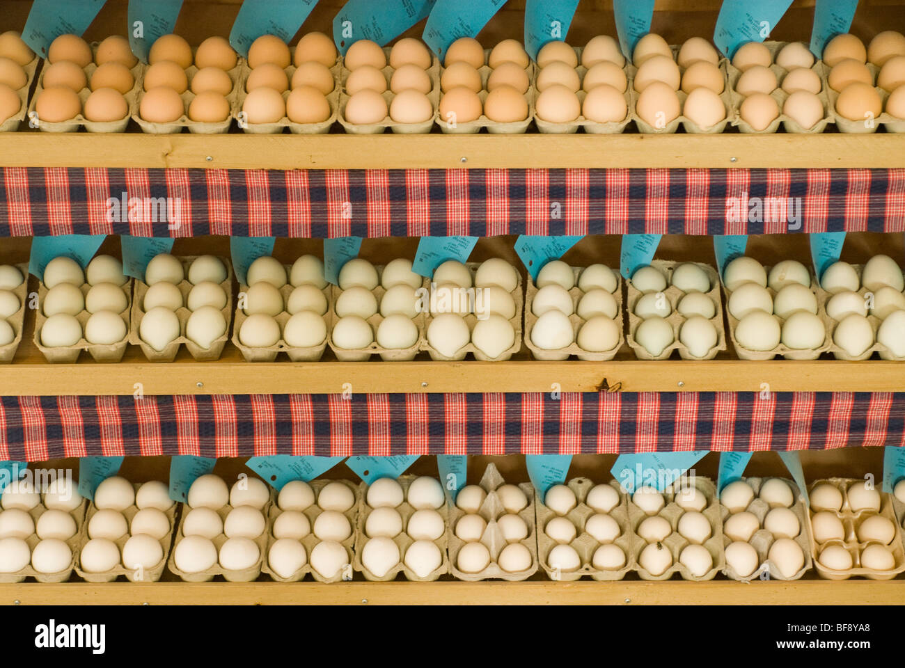 eggs at county fair Stock Photo - Alamy