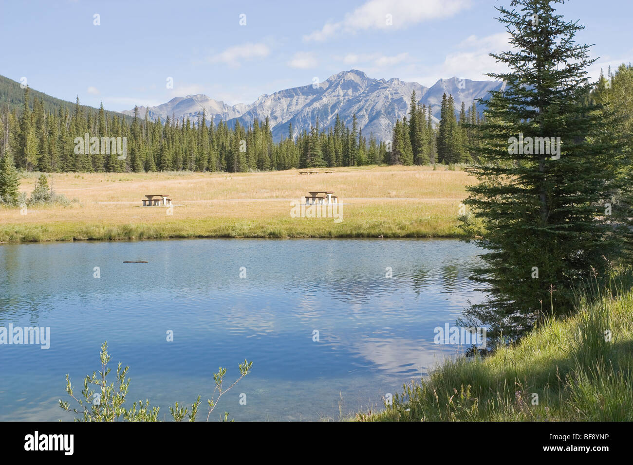 Banff in august hi-res stock photography and images - Alamy
