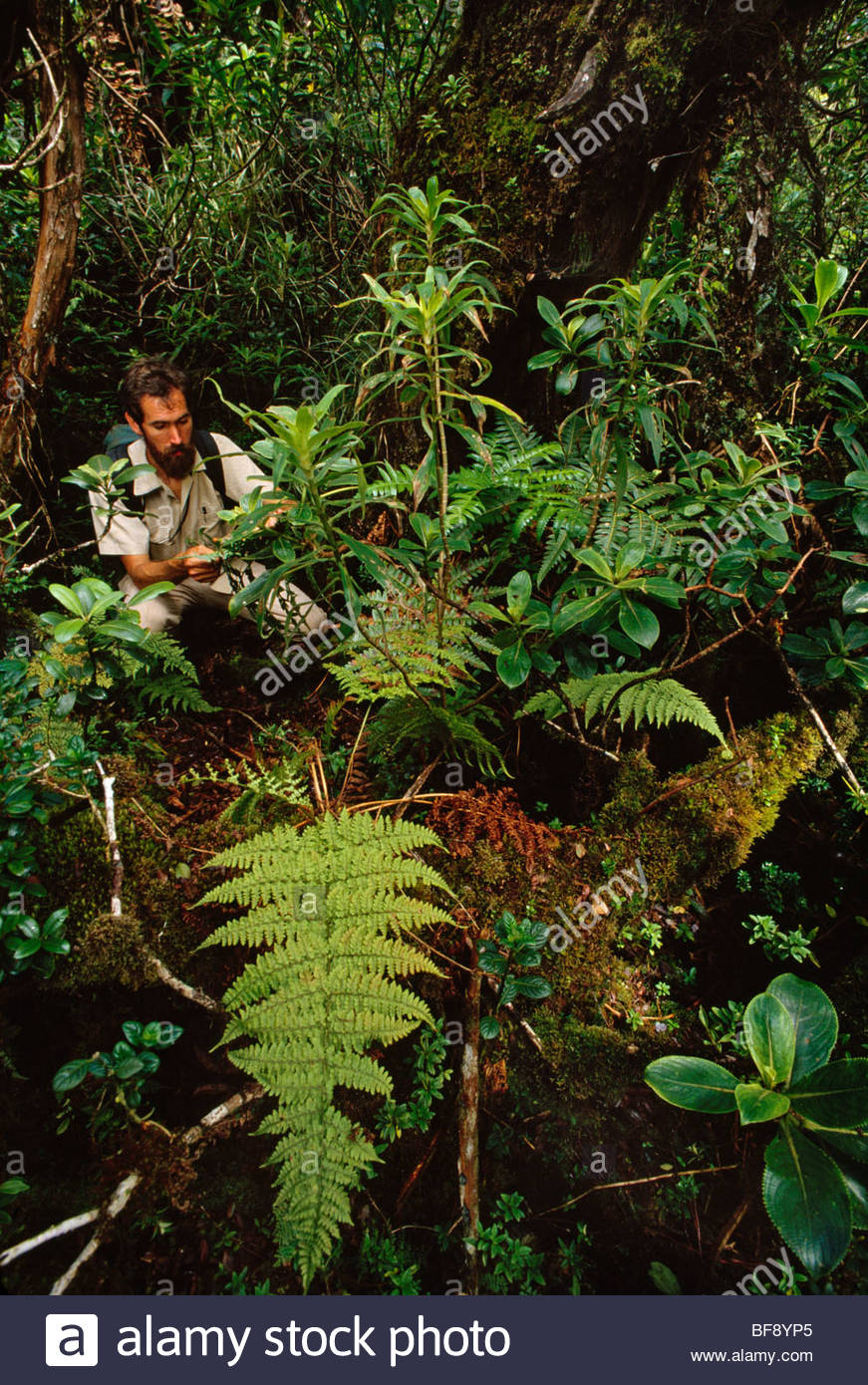 Mike Doyle Stock Photos & Mike Doyle Stock Images - Alamy