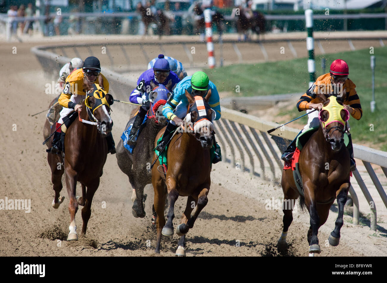 Horse race racing hi-res stock photography and images - Alamy