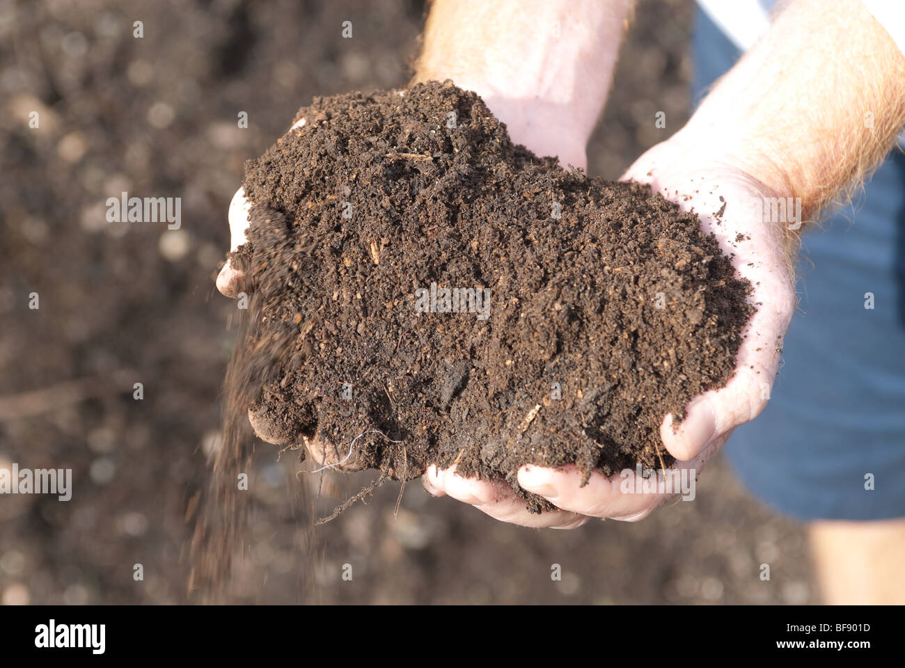 hands holding compost Stock Photo - Alamy