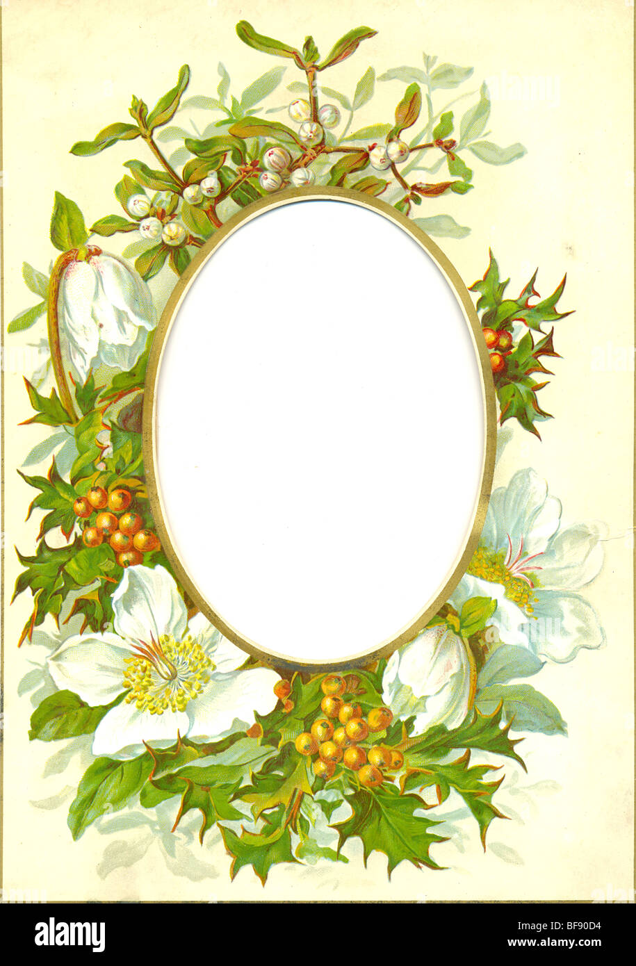 Ephemera plants hi-res stock photography and images - Alamy