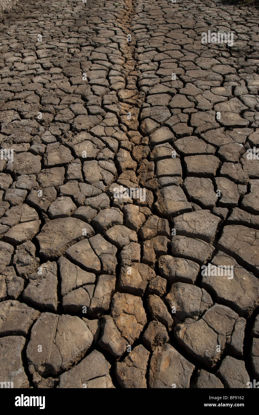 cracked dry mud Poplar Island Maryland Stock Photo - Alamy