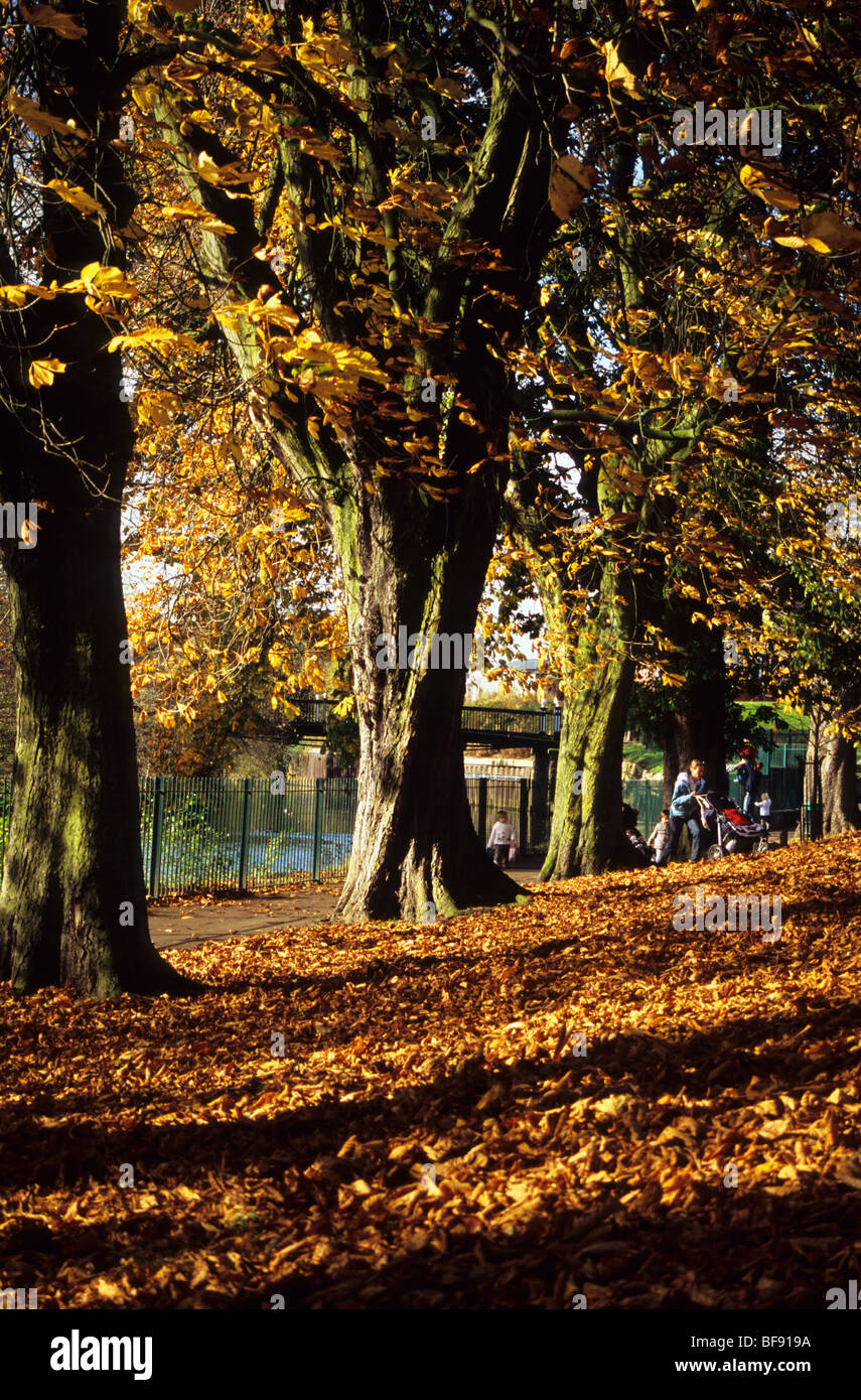 A Typical Autumnal Scene In The Beautiful Congleton Park In Cheshire ...