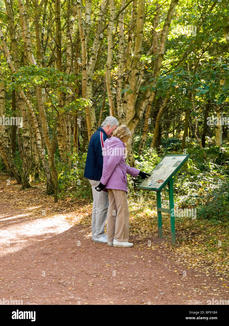 Information board uk woodland hi-res stock photography and images - Alamy