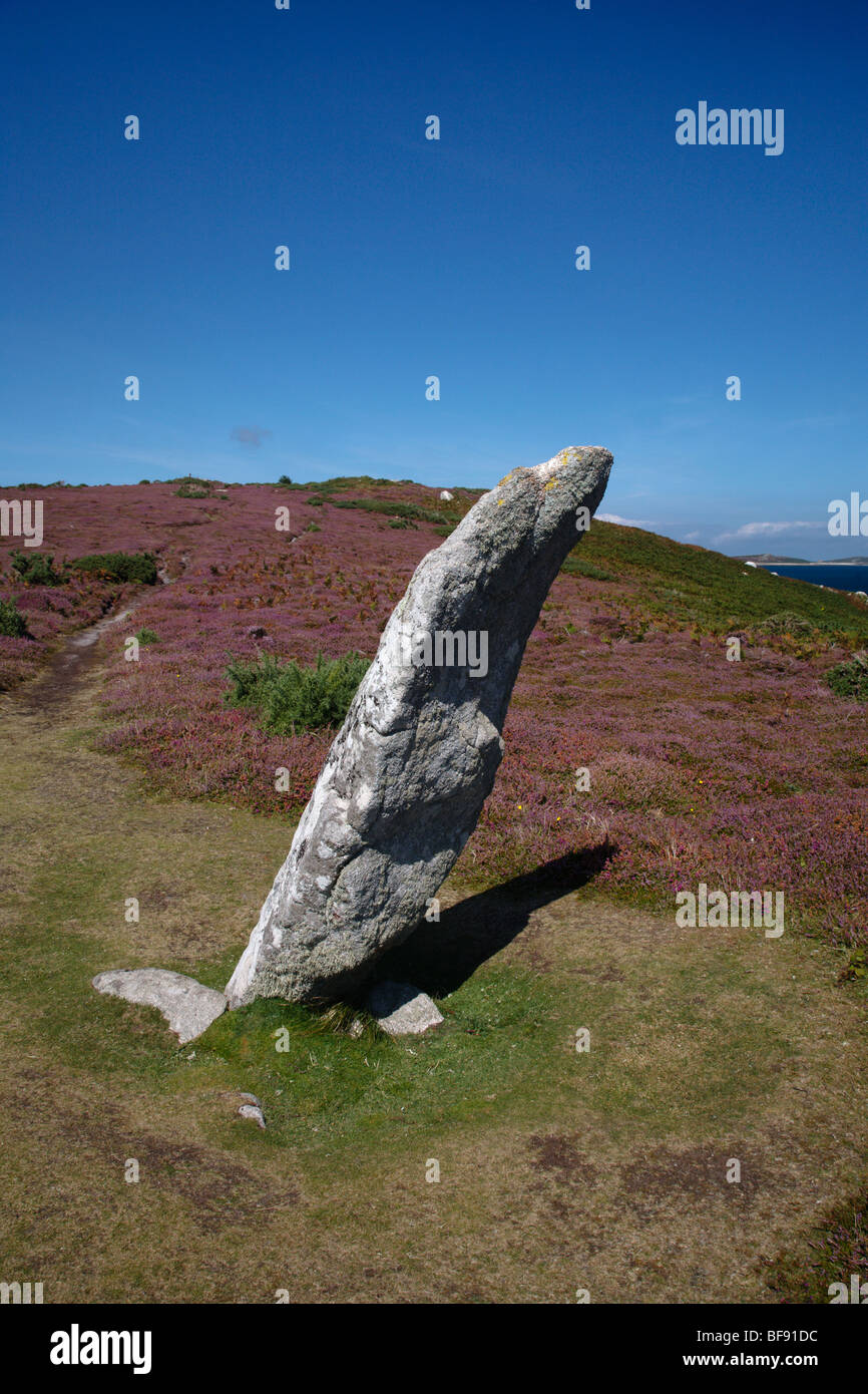 The Old Man of Gugh an ancient standing stone on Gugh in the Isles of ...