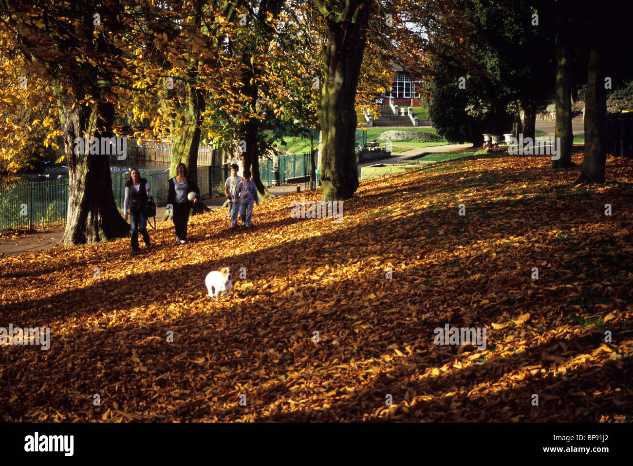 Young Family With Dog Enjoying Autumn In Congleton Park In Beautiful ...