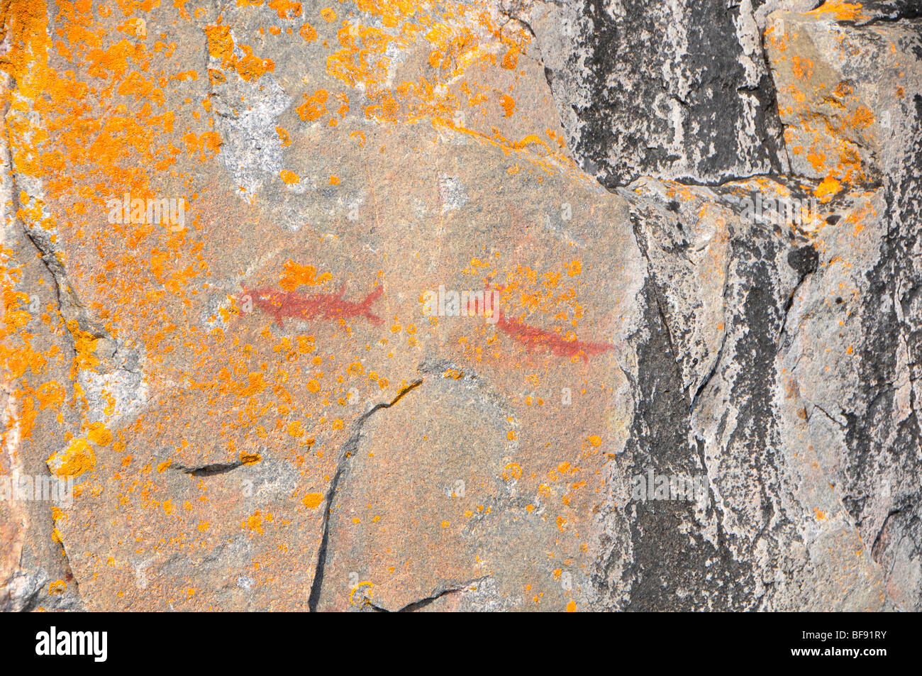 Pictographs enscribed on Agawa Rock in Lake Superior Provincial Park ...