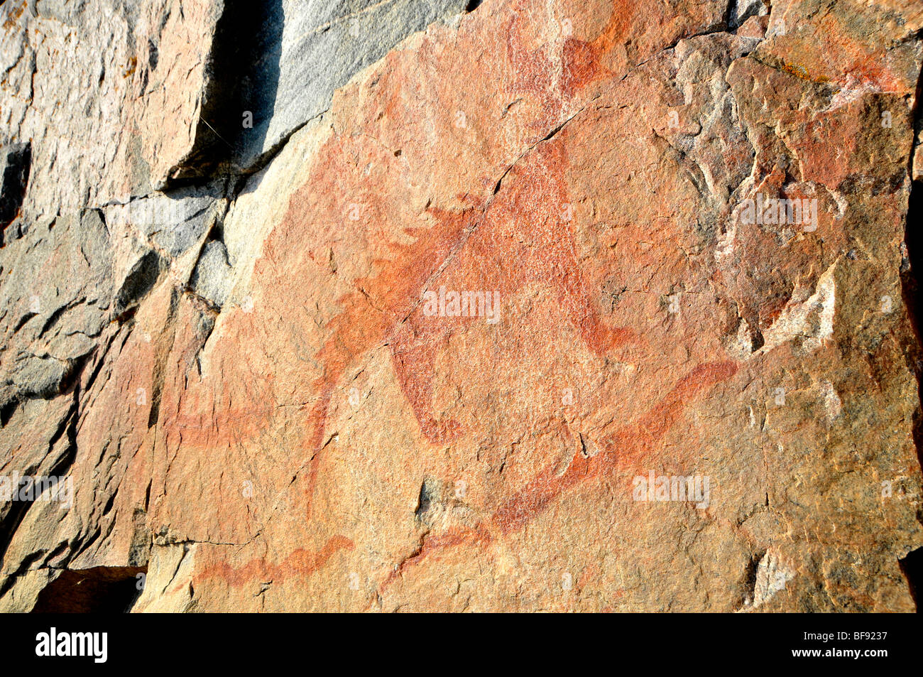 Pictographs enscribed on Agawa Rock in Lake Superior Provincial Park ...