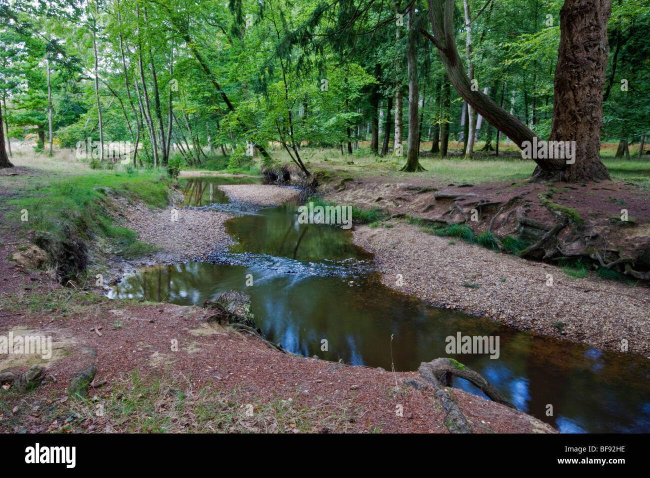 Blackwater river hi-res stock photography and images - Alamy