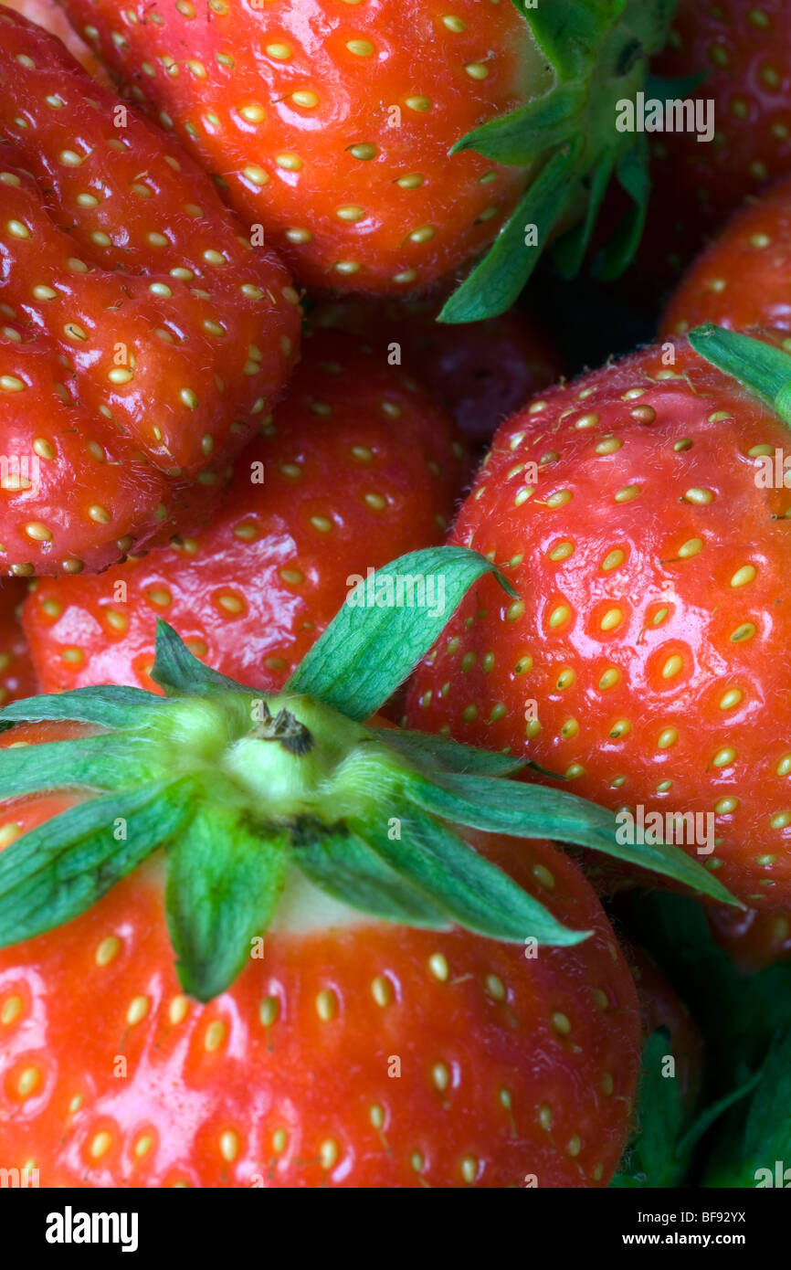 Macro image of fresh strawberries in sunlight Stock Photo - Alamy
